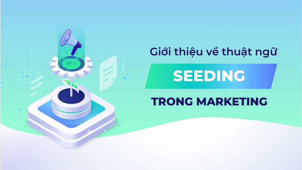Seeding Facebook là gì? Làm sao để Seeding Facebook hiệu quả