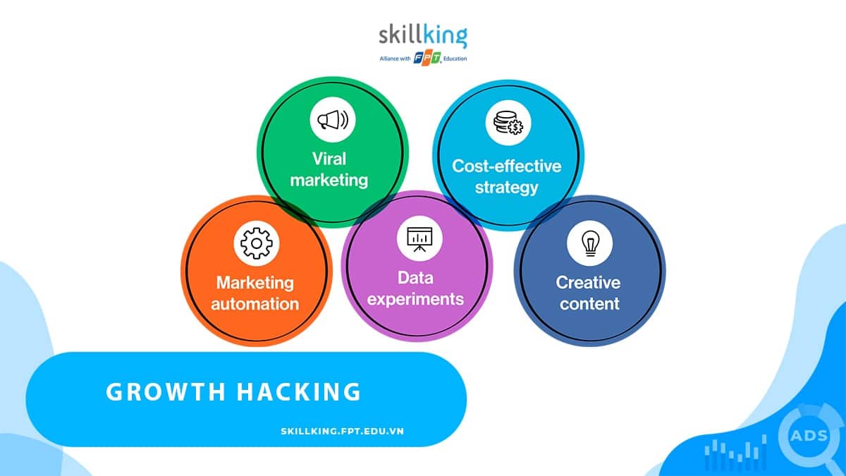 Growth hacking là gì? Growth hacker cần có những kỹ năng gì?